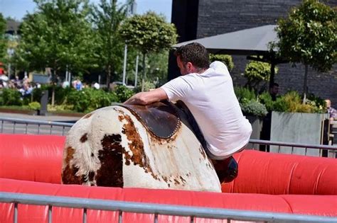 Examples Of Inertia Of Rest DewWool Inertia Bull Riding Mechanical Bull