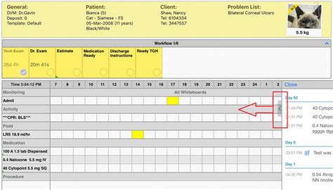 How Do I Access The Workflow And Notes Tab Idexx Smartflow Support