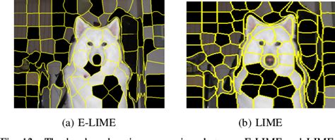 explaining deep convolutional neural networks for image classification