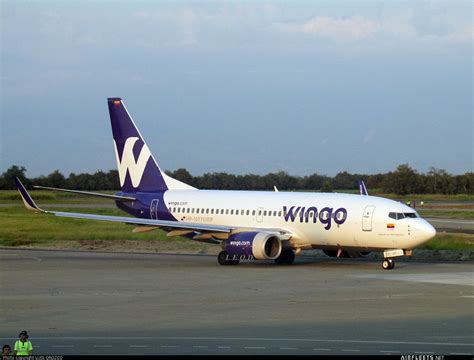 Wingo Boeing 737 Ng Max Hp 1377cmp Photo 39817 Airfleets Aviation