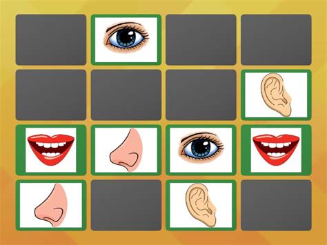 Memory Game Body Parts Matching Pairs