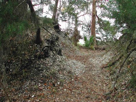 Secrets Of Georgias Ancient Shell Ring Settlements Touristsecrets