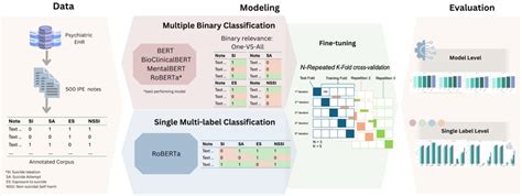 [论文审查] Suicide Phenotyping From Clinical Notes In Safety Net