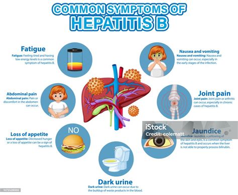 Ilustración De Póster Informativo De Síntomas Comunes Hepatitis B Y Más