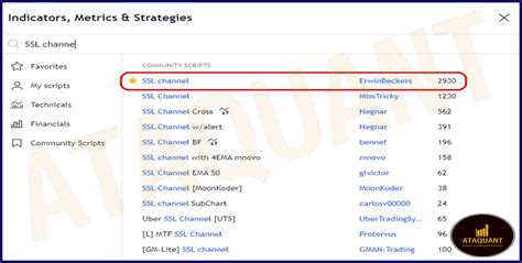 Range Filter Labels Trading Strategy AtaQuant Advanced Expert And Indicator Programming