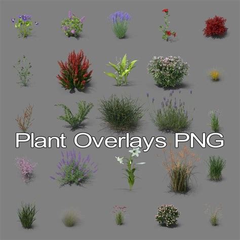 Plant Overlays Tree Overlays Flower Overlays Grass Overlays Photoshop Overlays Landscape