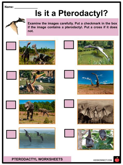 Pterodactyl Worksheets Classification Discovery Anatomy Diet