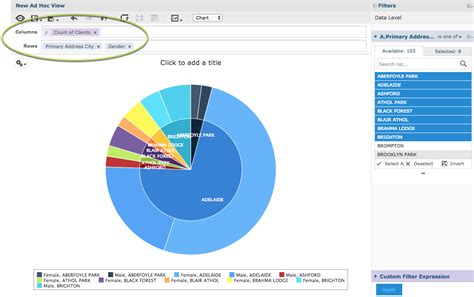 Ad Hoc View Dual Pie Chart Community Bi Support