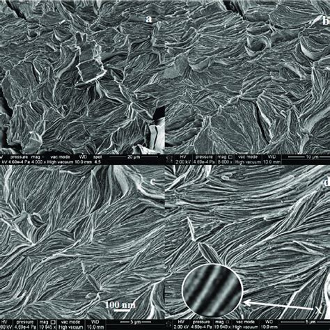 Sem Micrographs At Different Magnifications Showing The Microstructure Download Scientific