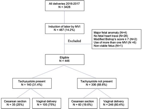 Uterine Tachysystole Understanding Managing And Minimizing Risks