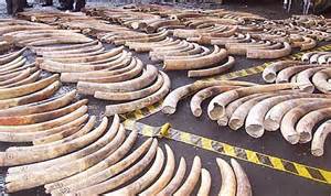 Environment And Trade Borders