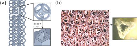 A Idealized Tetrakaidecahedron Unit Cell Model B Sem Image Of The Download Scientific