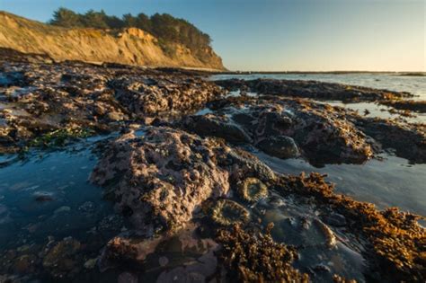 The Different Types Of Tides In The Ocean