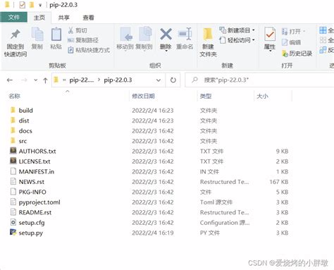 pip2及pip3安装记录（pip2与pip3共存） pip2和pip3下载 csdn博客