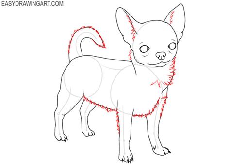 How To Draw A Chihuahua Easy Step By Step Tutorial