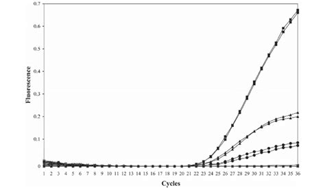 Real Time Polymerase Chain Reaction Of Phytophthora Species Assayed