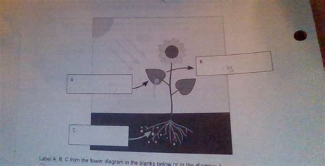 Science Diagram Quizlet