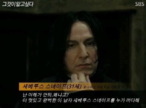 [trend A Word ] ‘해리포터x성동일 이 조합 뜨뜻하거든요