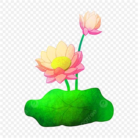 향기로운 연꽃 일러스트 만화 그림 로터스 꽃 꽃 그림 만화 그림 연꽃 Png 일러스트 및 Psd 이미지 무료 다운로드