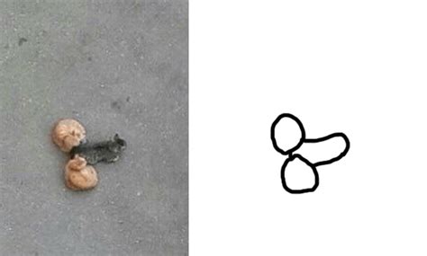 Ginger Balls Minimalcatart