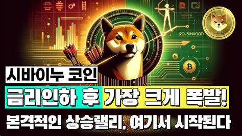 이프로 시바이누 금리 인하로 가장 크게 수혜볼 종목 폭발적인 상승 이제 곧 시작합니다 시바이누코인 시바이누전망 시바이누호재 Youtube