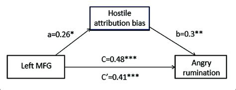 Hostile Attribution Bias Mediates The Association Between Brain
