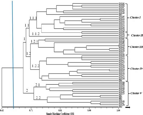 dendrogram of genetic similarity compiled from 50 isolates obtained by