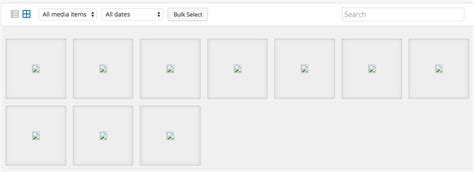 Php Wordpress Images Not Displaying Stack Overflow