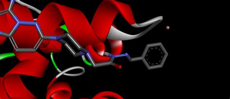 529 Questions With Answers In Autodock Science Topic