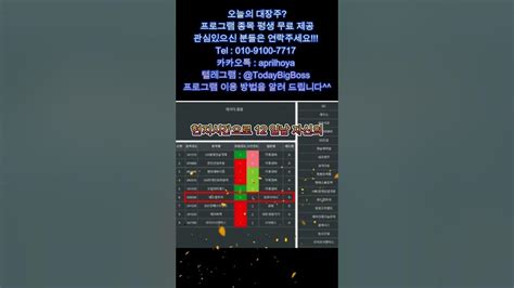 오늘의 대장주 2025 2 13 레드캡투어 상한가 삼성전자 한화오션 한화비전 에코프로비엠 Sk하이닉스 Lg에너지솔루션 한화시스템 카카오 Posco홀딩스