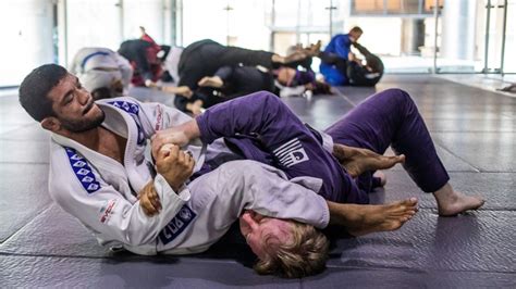 Basic BJJ Combinations: Triangle Choke, Omoplata And Armbar - Evolve ...