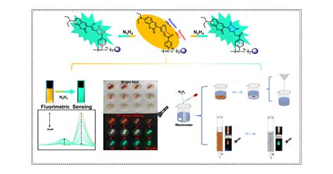 Dual Recognition Exhibiting A Polymeric Fluorescent Probe For Specific Detection And Removal Of