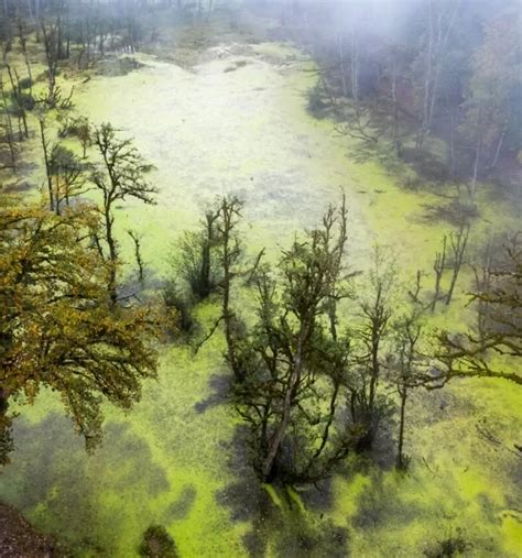 مرداب دیوک کلاردشت، مرداب مه آلود شمال کشور سفربازی