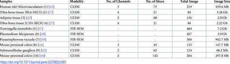 Selected CLSM And FIB SEM Microscope Images Download Scientific Diagram