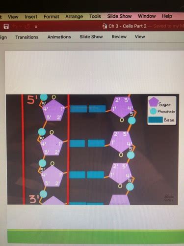 Chapter 3 Part 2 Flashcards Quizlet