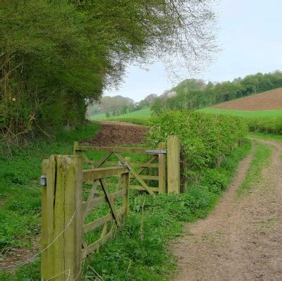 Flutter Study Tumblr Com Tumbex Flutter Study Tumblr Com Tumbex