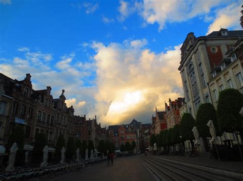 Wang Landau Algorithm Xians Og