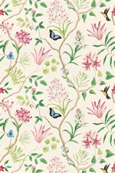 Sanderson Voyage Of Discovery Wallpaper Clementine X Wallpaper Teahub Io