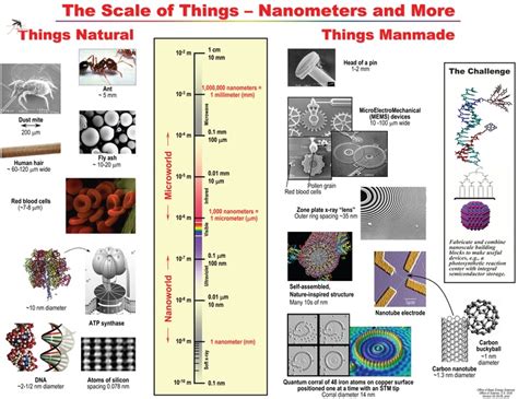 Scale Of Things From 100 Picometers To 1 Centimeter