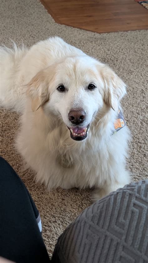 Daily Dose Of Winter Day 927 Album On Imgur