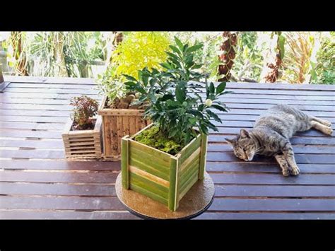 Inilah Contoh Pot Bunga Dari Bambu Terpopuler Informasi Seputar Tanaman Hias
