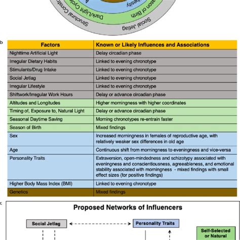 The Schematic Representation Of 5a The Proposed Multidimensional