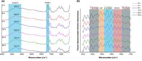 Fourier Transform Infrared A And Fourier Deconvoluted Infrared B