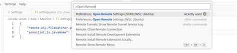 Couldn T Create Connection To Server VS Code Sonar Community