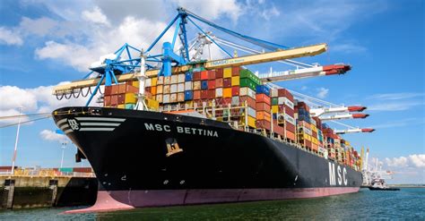 MSC Container Tracking In What Can Shippers Expect VIZION