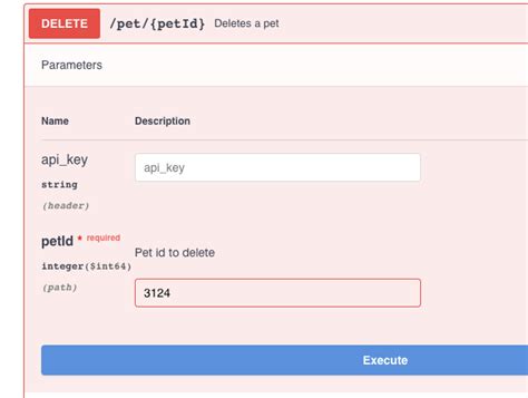 Path Parameter Issues Required Field Is Not Provided Or Interpolates