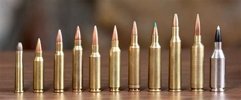 Is A 223 Good For Deer Hunting Billings