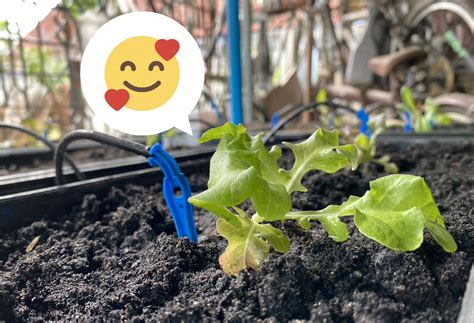 Smart Farm Ep1 เข้าใจคอนเซ็ปต์การสร้างด้วย Home Assistant