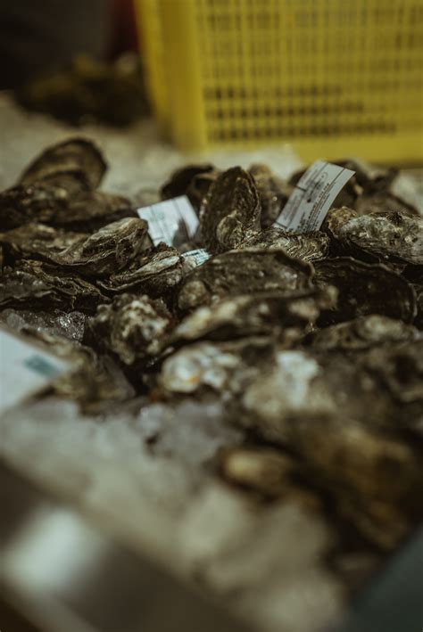 F I S H Y A R D On Behance