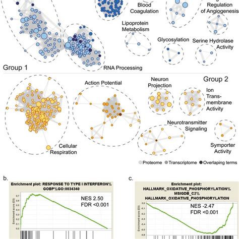 Similarity Network Fusion Identifies Two Pilocytic Astrocytoma Groups